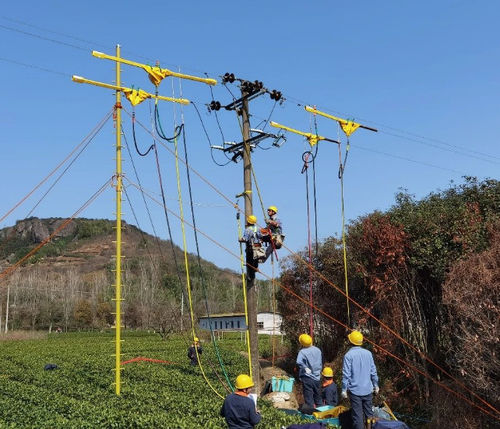 Guide lines for using Insulated Centipede Ladder(Ⅰ)